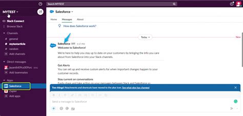 Salesforce Integration With Slack Mst Solutions
