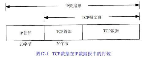 分析tcp ip协议栈代码之tcp（stm32平台） stm32 tcpip csdn博客