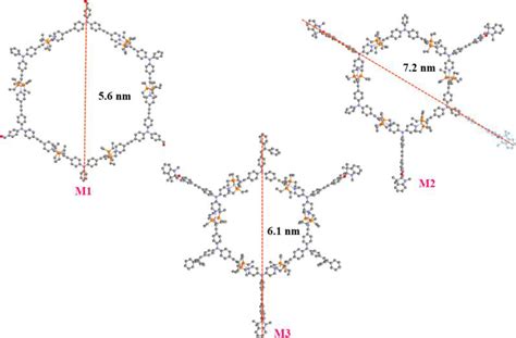 optimized structures of macrocycles m1−m3 color codes carbon gray