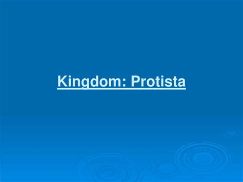 Ppt Kingdom Protista Powerpoint Presentation Free Download Id9129386