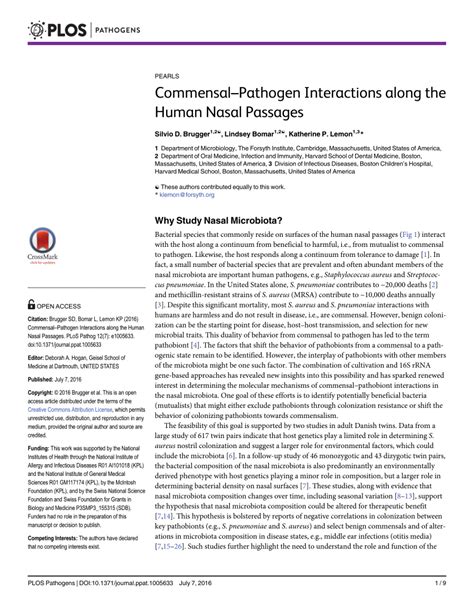 Pdf Commensalpathogen Interactions Along The Human Nasal Passages