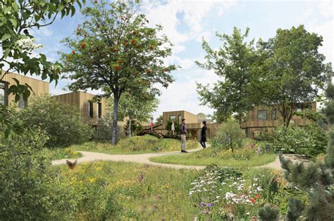 De Vlierlanden In Ommen Krijgt Woonveld Met Duurzame Houten Woningen