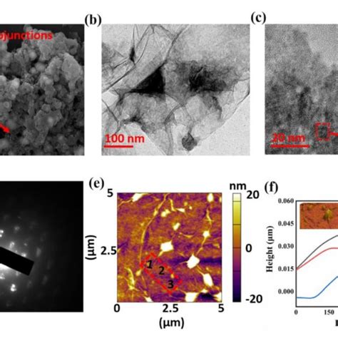 Morphological And Structural Characterization Of The Heterojunction Download Scientific
