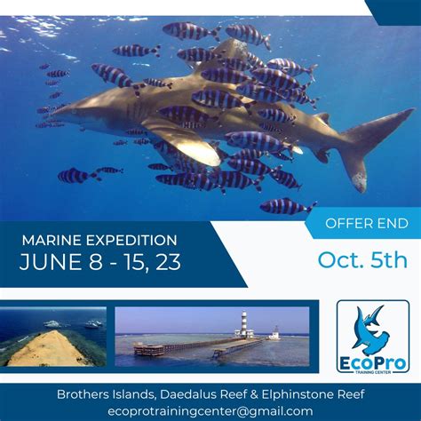 Dr Ahmed Shawky On Linkedin Shark