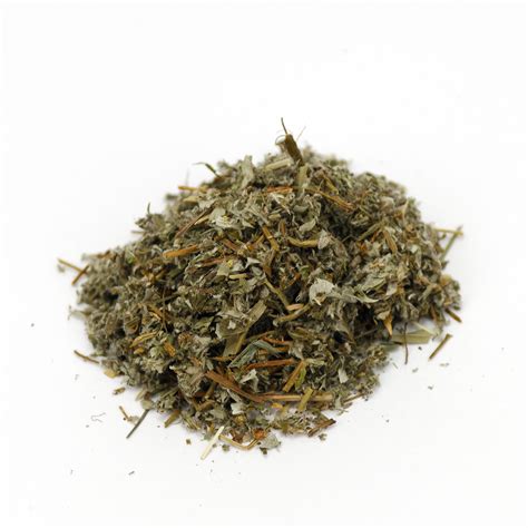 Raspberry Leaf Organic Sacred Ridge Organic Llc Raspberry Leaf Organic Sacred Ridge Organic Llc