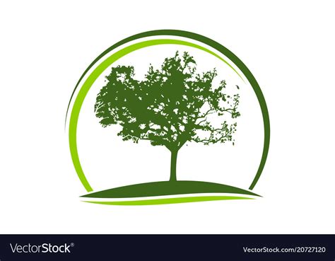 Oak Tree Logo Design Template Royalty Free Vector Image