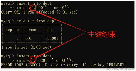 Mysql主键约束（primary Key Pk）mysql添加主键约束 Csdn博客