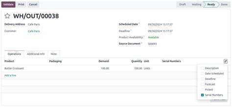 serial numbers — odoo 18 0 documentation