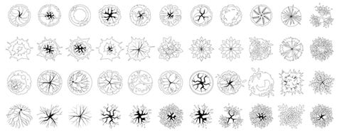Premium Vector Set Of Trees And Plants Top View For Landscape Design