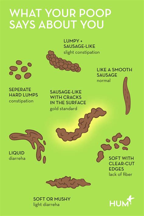 Bristol Stool Chart Is Your Poop Healthy 58 Off
