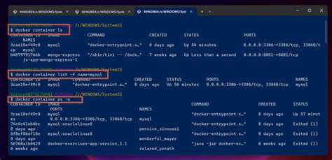 Docker Ps Command Explained With Examples Cloudspress