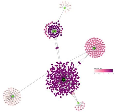 Differentially Expressed Microrna Gene Regulatory Network In Ulcerative Download Scientific