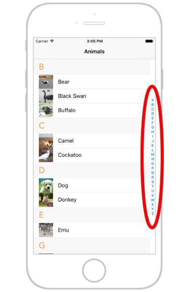 ios how to access uitableindexview section index view of