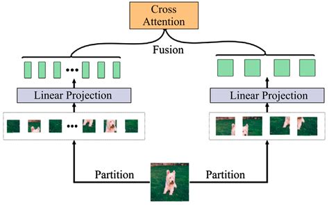 comparative analysis of vision transformer models for facial emotion