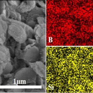 Fig S The SEM And Elemental Mapping Images Of SiO BNNS Download Scientific Diagram