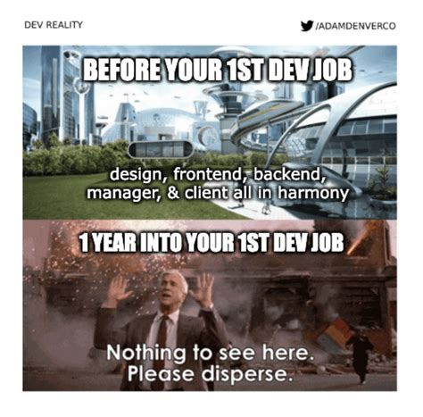 What You Think Coding Will Be Like Vs Reality Rprogrammerhumor