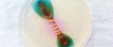 Recipe Of The Week Week 20 Ferroxyl Indicator Scichem