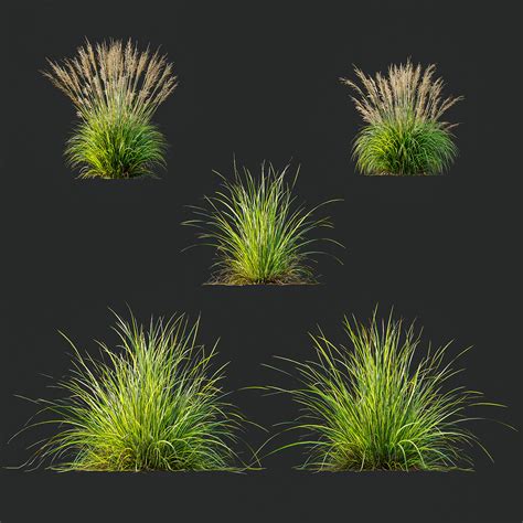 Artstation Grass 03 Resources