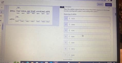 Solved Instructions Transcribe The Following Gene Of A DNA Chegg Com