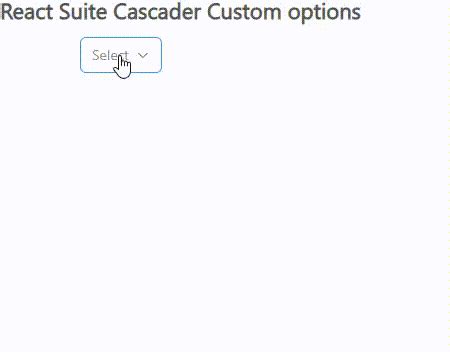 React Suite Cascader Custom Options GeeksforGeeks