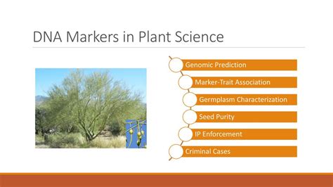 update on the american seed trade association and u s ppt download