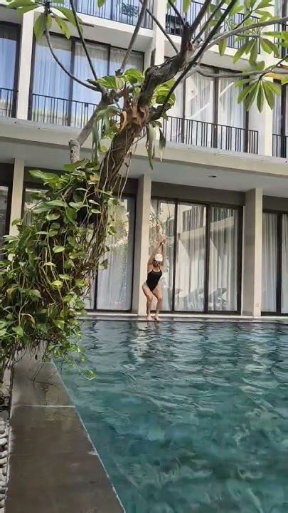 다이빙아님 스타트흉내내기수영하이컷 Youtube