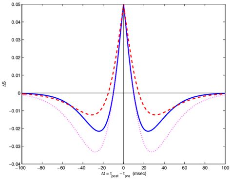 Symmetrical Stdp The Dotted Line Illustrates The Symmetrical Stdp Rule
