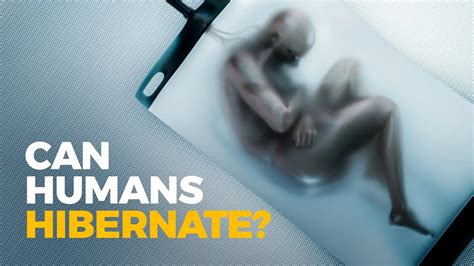 The Insane Evolution Of Hibernation Classx