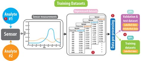 A Typical Approach For Generating Labelled Datasets For Training Download Scientific Diagram