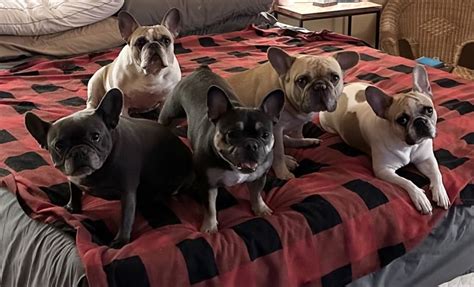 Dr Jeffrey Burke On Linkedin Life Is So Stressful Today And We All Have A Lot On Our Plates So