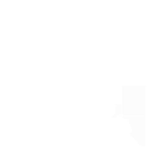 Stellaria Angustifolia Ssp Tenella