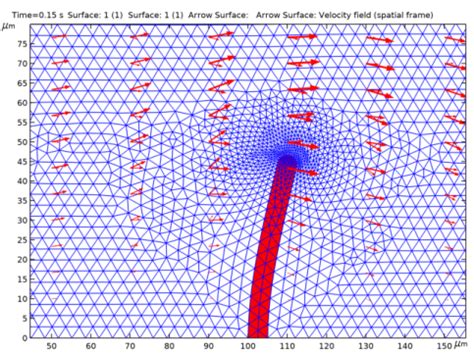 Fluid Structure Interaction