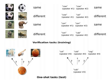 one shot learning one of the biggest criticisms of… by connor