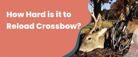 How Hard Is It To Reload Crossbow Savvy Crossbow