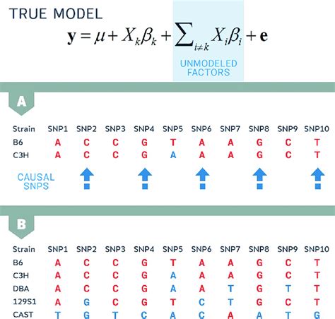 Pairwise Similarity Between Strains Gives Some Insight Into The Download Scientific Diagram