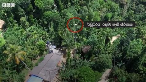 අධ්‍යාපනය බස් එකේ ඉස්කෝලේ යන්න දවසකට රුපියල් 600ක් විතර ඕනා Bbc News සිංහල