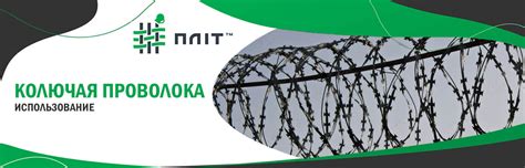 Использование егозы. Где использовать колючую проволоку? Монтаж - PLIT