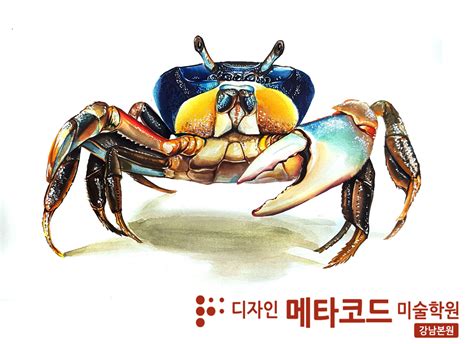Pin On Crab