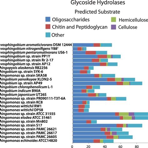 maximum likelihood mlsa of 26 sphingomonad genomes constructed from