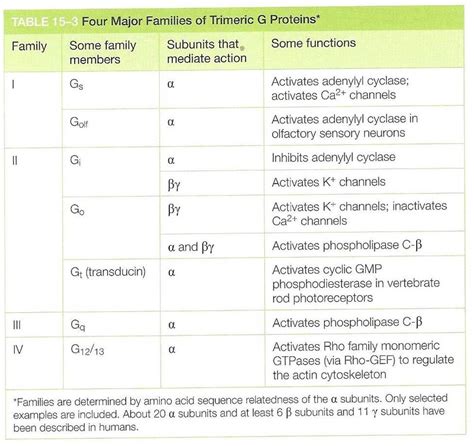 Mcn Ii L2 Schneuwly Signalling Ii 1 Key Concepts Of Gpcr Signalling