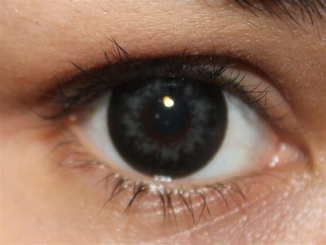 Slate Grey Eyes