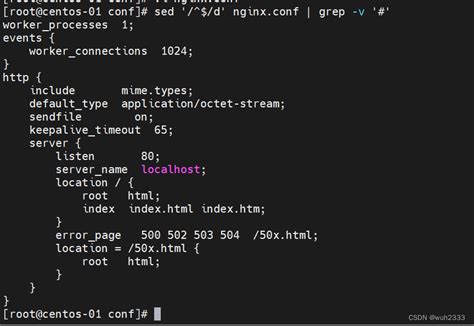 nginx学习记录 目录结构及基本配置 nginx目录 csdn博客