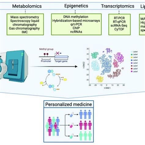 Multiomics Technologies The Use Of Omic Methods Can Be Applied In Dna Download Scientific