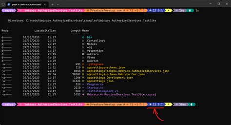 How I Learnt A New Programming Language Over Hacktoberfest By Creating An Umbraco Segment For