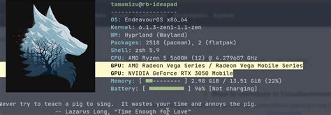 device selection · issue 379 · fastfetch cli fastfetch · github