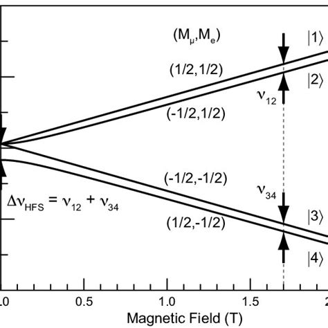 Breit Rabi Energy Level Diagram For Muonium Atom Under Magnetic Field