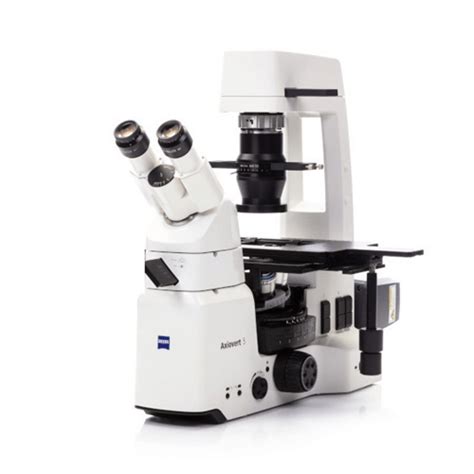 Inverted Microscope Vs Upright Microscope
