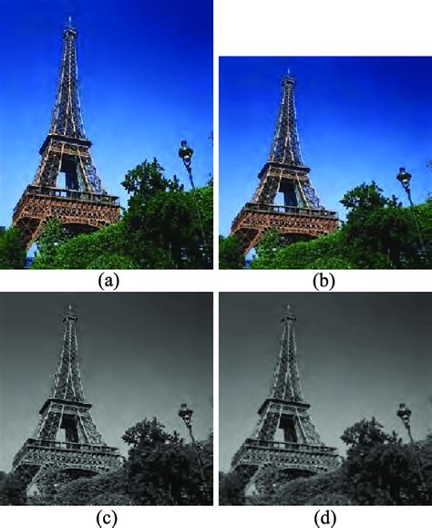 an example of preprocessing a input image b resized image c l