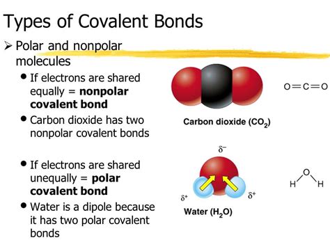Molecule Non Examples At Steven Trinkle Blog