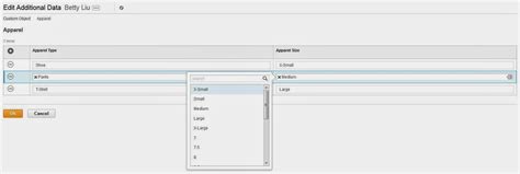 A Blog About Learning Workday HCM Workday Custom Objects In Action